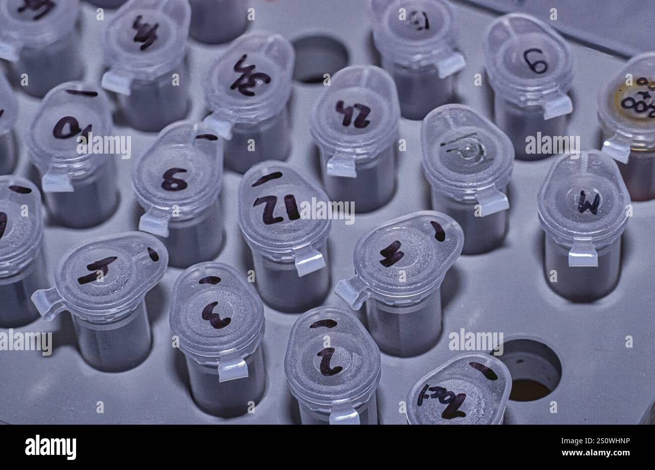 Numbered plastic tubes in a laboratory for biological sample storage ...