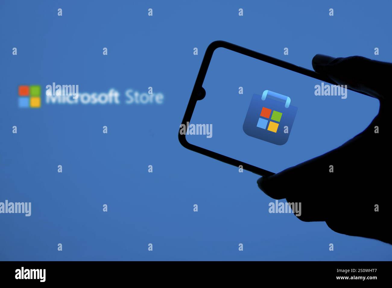 The Microsoft Store is a digital marketplace where you can find a wide ...