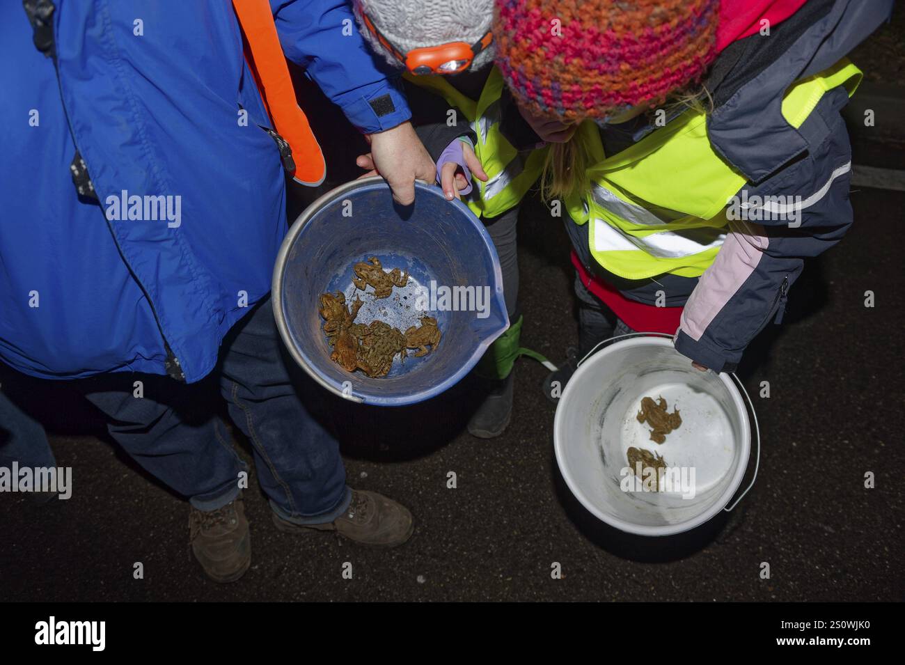 Toad's hall hi-res stock photography and images - Alamy