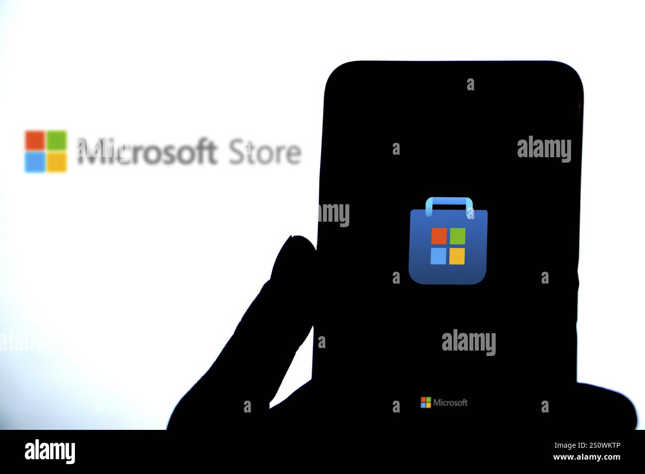 The Microsoft Store is a digital marketplace where you can find a wide ...