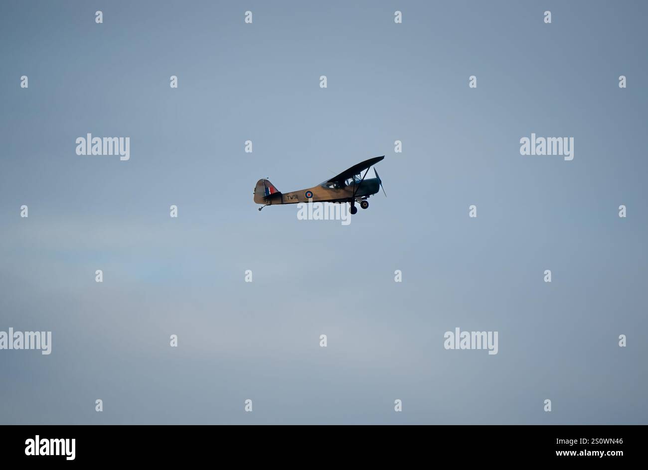 TW511 Auster 5 G-APAF vintage army liaison and observation aircraft ...