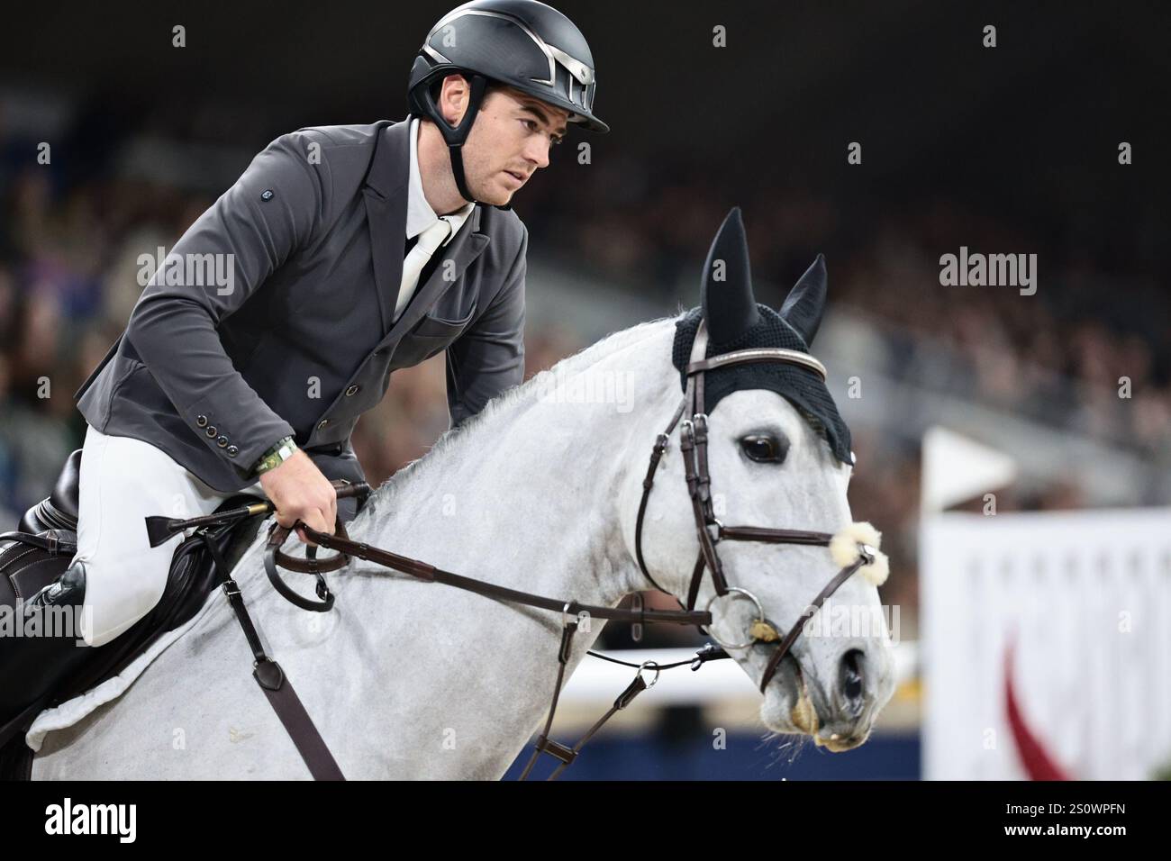 Donald Whitaker of United Kingdom with Picasso vd Zwartbleshoeve during ...