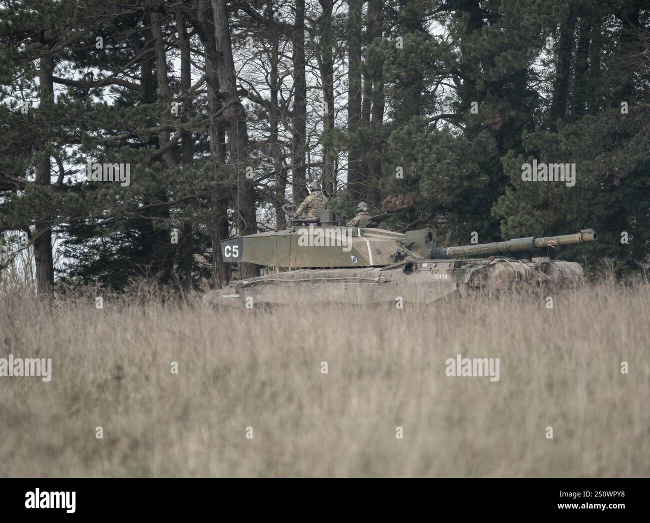 commander and gunner directing a british army challenger ii 2 FV4034 ...