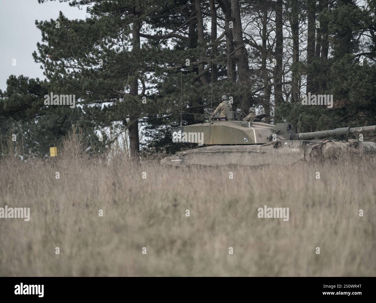 commander and gunner directing a british army challenger ii 2 FV4034 ...