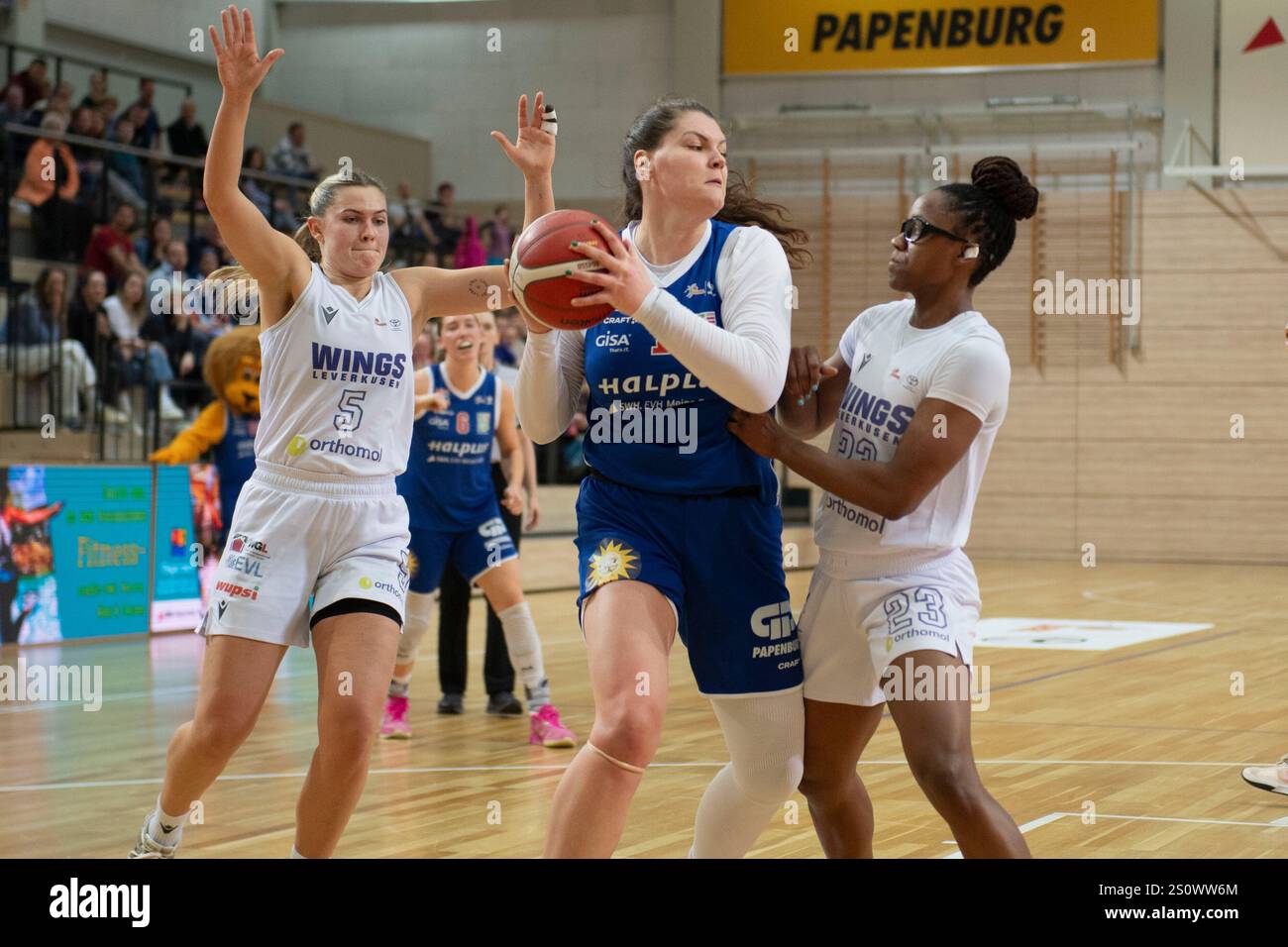 Halle, Deutschland 29. Dezember 2024: 1.BBL - Damen - 2024/2025 - Halle ...