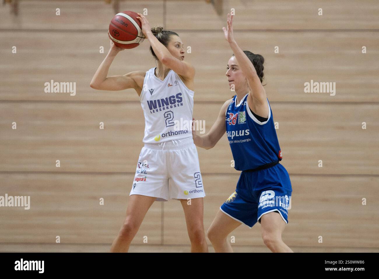 Halle, Deutschland. 28th Dec, 2024. Halle, Deutschland 29. Dezember ...