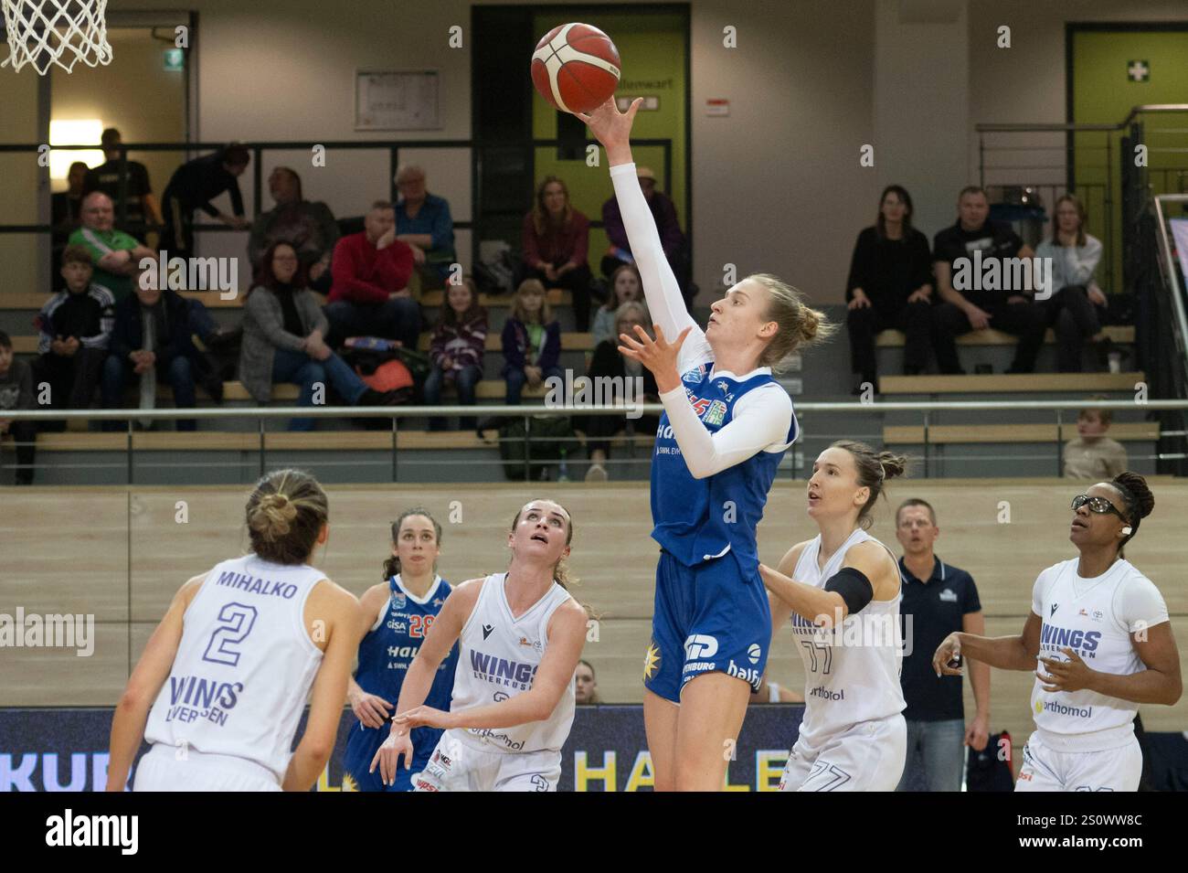 Halle, Deutschland. 29th Dec, 2024. Halle, Deutschland 29. Dezember ...