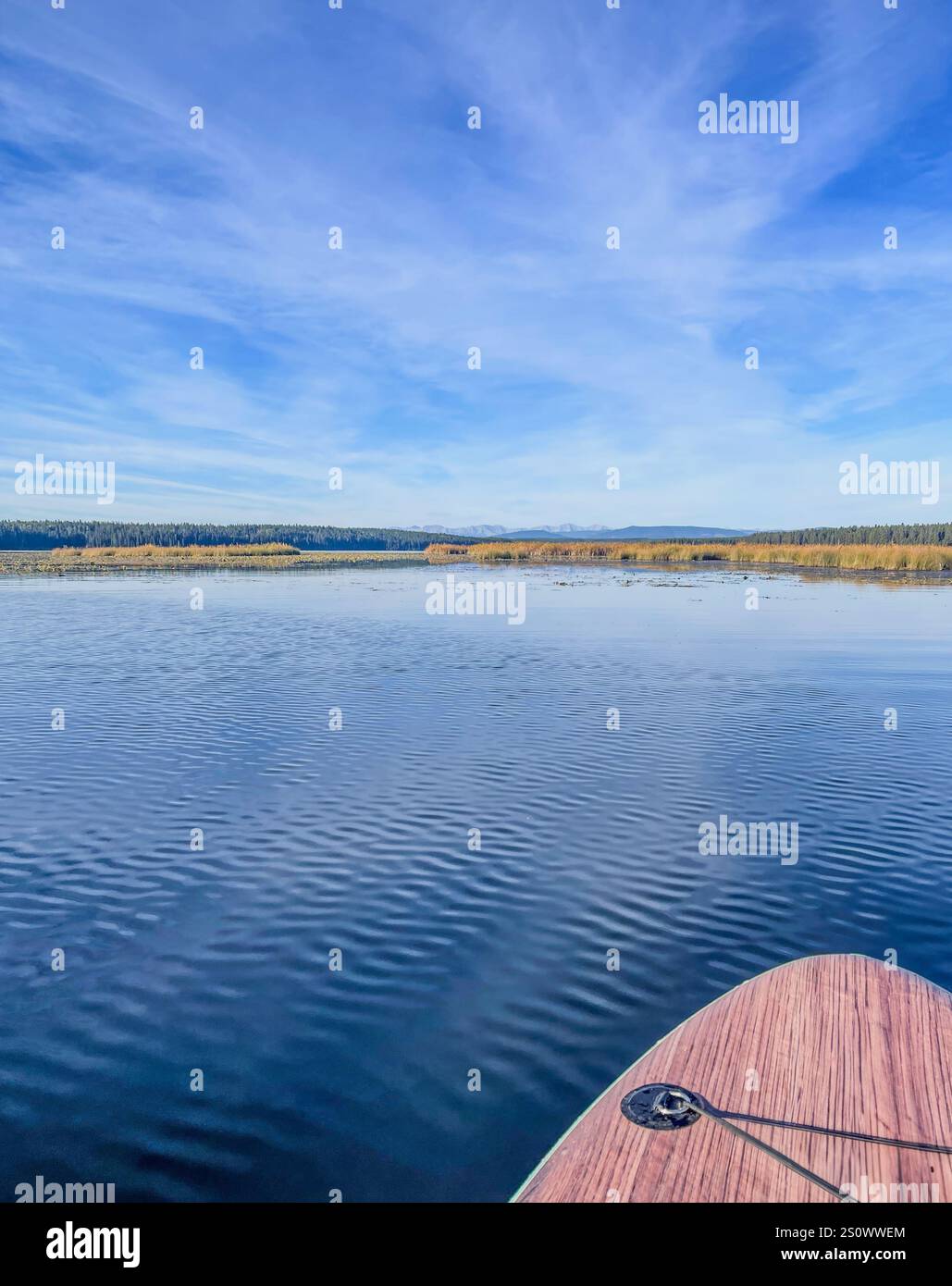 A stand-up paddleboard floats on a calm lake with clear blue skies, surrounded by peaceful ...