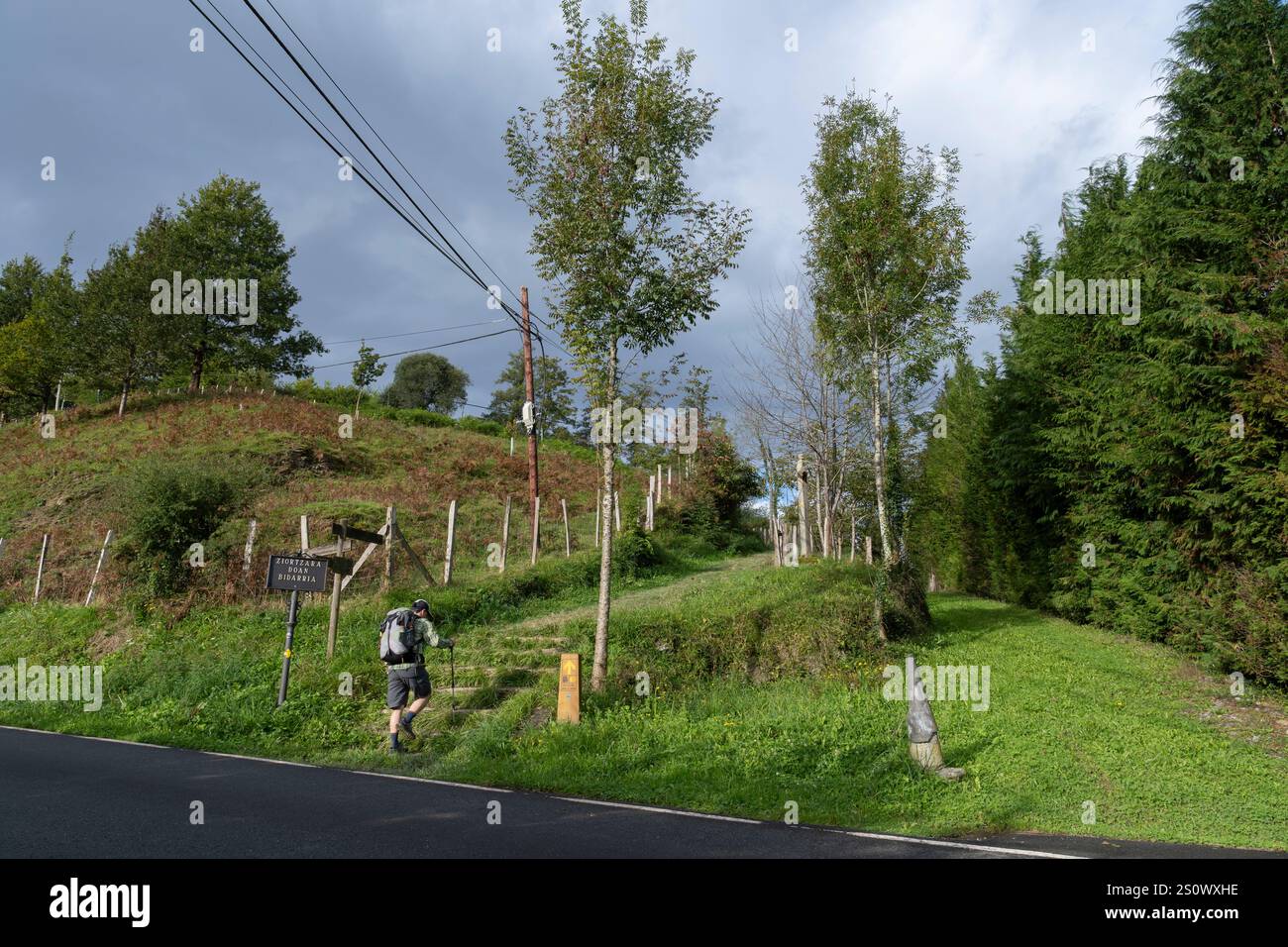 An American pilgrim follows a trail marker along the Camino del Norte ...