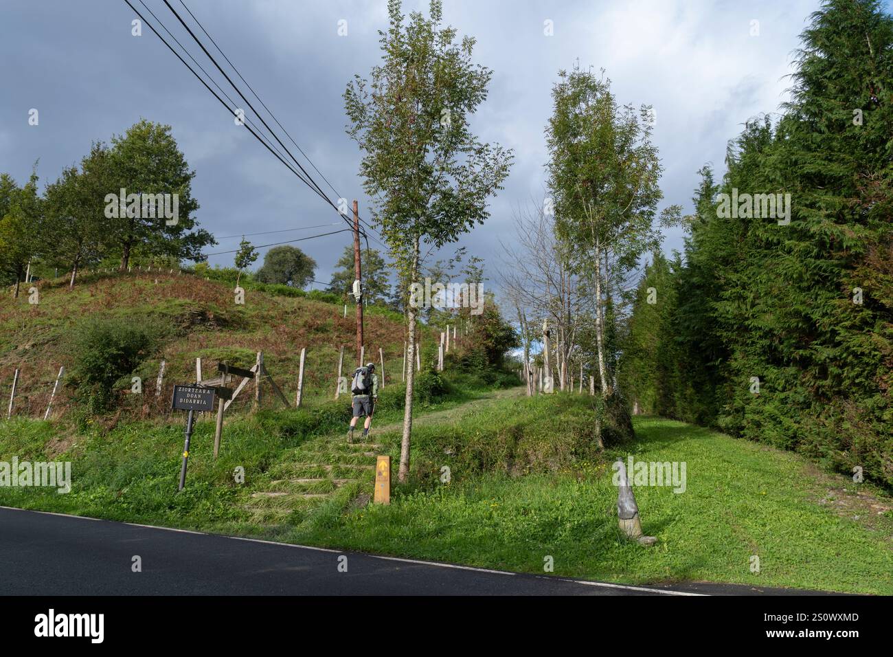 An American pilgrim follows a trail marker along the Camino del Norte ...