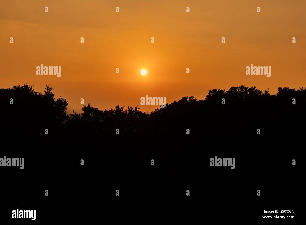 Purple island Al Khore Doha Qatar @5/12/2024 Stock Photo - Alamy