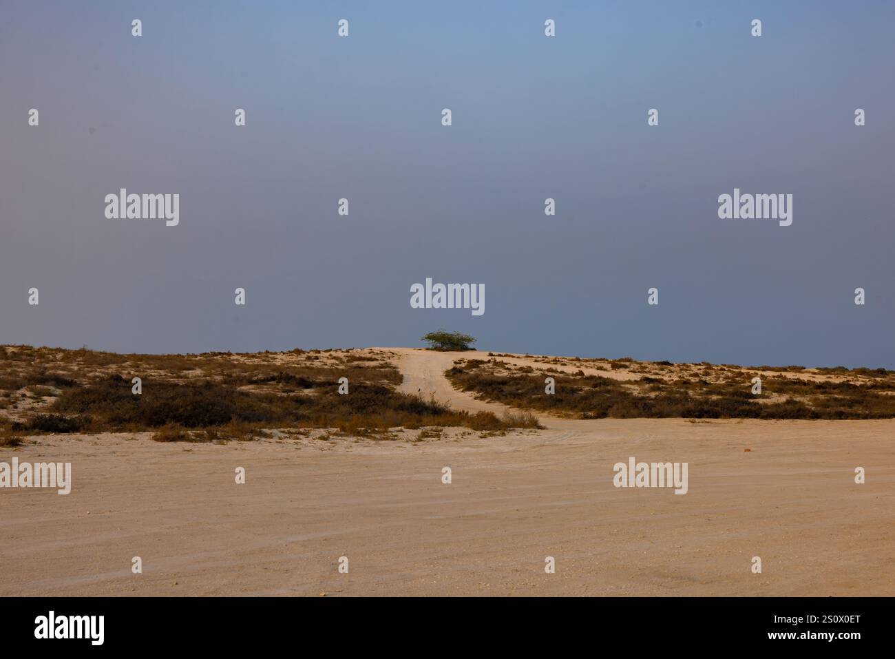 Purple island Al Khore Doha Qatar @5/12/2024 Stock Photo - Alamy