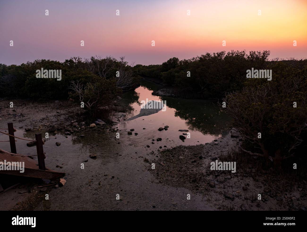Purple island Al Khore Doha Qatar @5/12/2024 Stock Photo - Alamy
