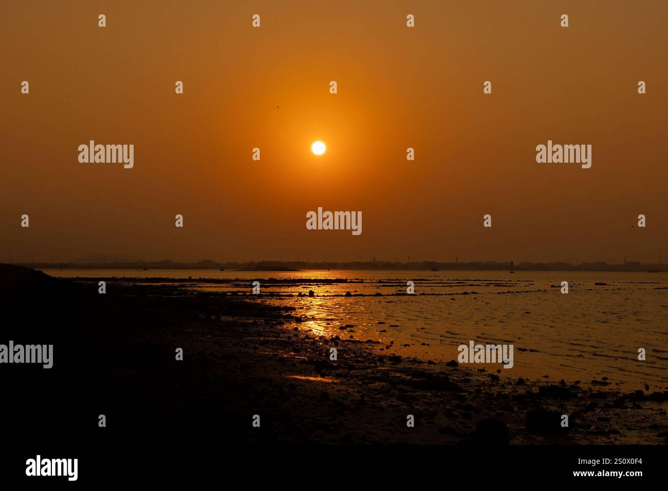Purple island Al Khore Doha Qatar @5/12/2024 Stock Photo - Alamy