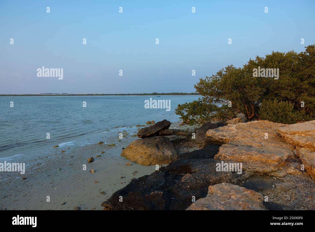 Purple island Al Khore Doha Qatar @5/12/2024 Stock Photo - Alamy
