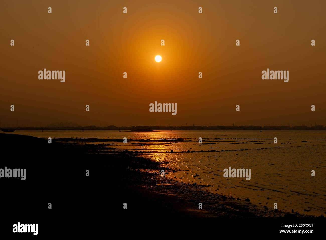 Purple island Al Khore Doha Qatar @5/12/2024 Stock Photo - Alamy