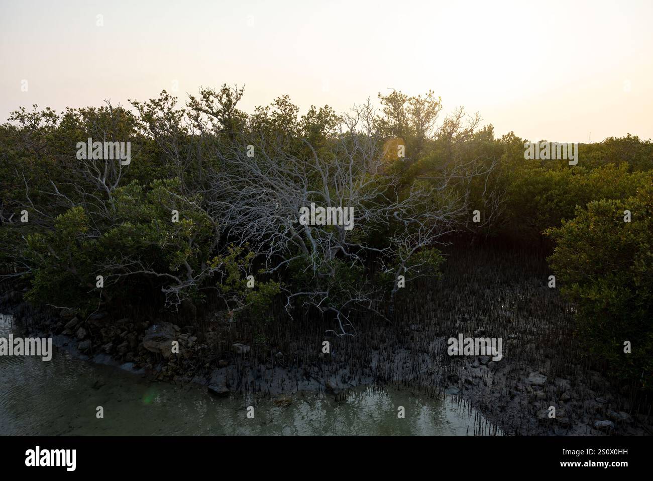 Purple island Al Khore Doha Qatar @5/12/2024 Stock Photo - Alamy
