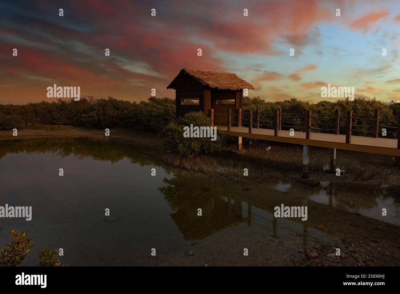 Purple island Al Khore Doha Qatar @5/12/2024 Stock Photo - Alamy