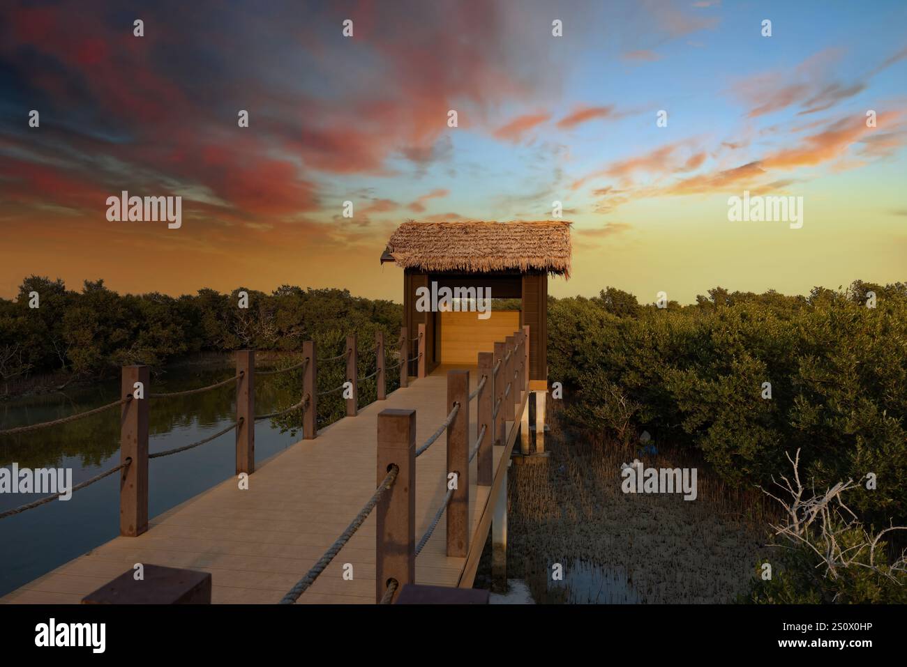 Purple island Al Khore Doha Qatar @5/12/2024 Stock Photo - Alamy