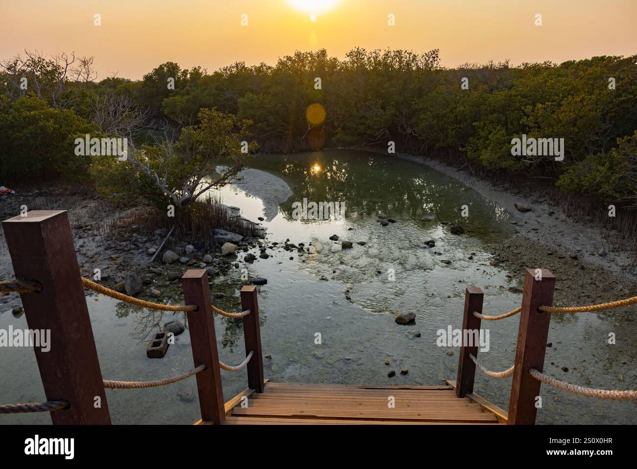 Purple island Al Khore Doha Qatar @5/12/2024 Stock Photo - Alamy