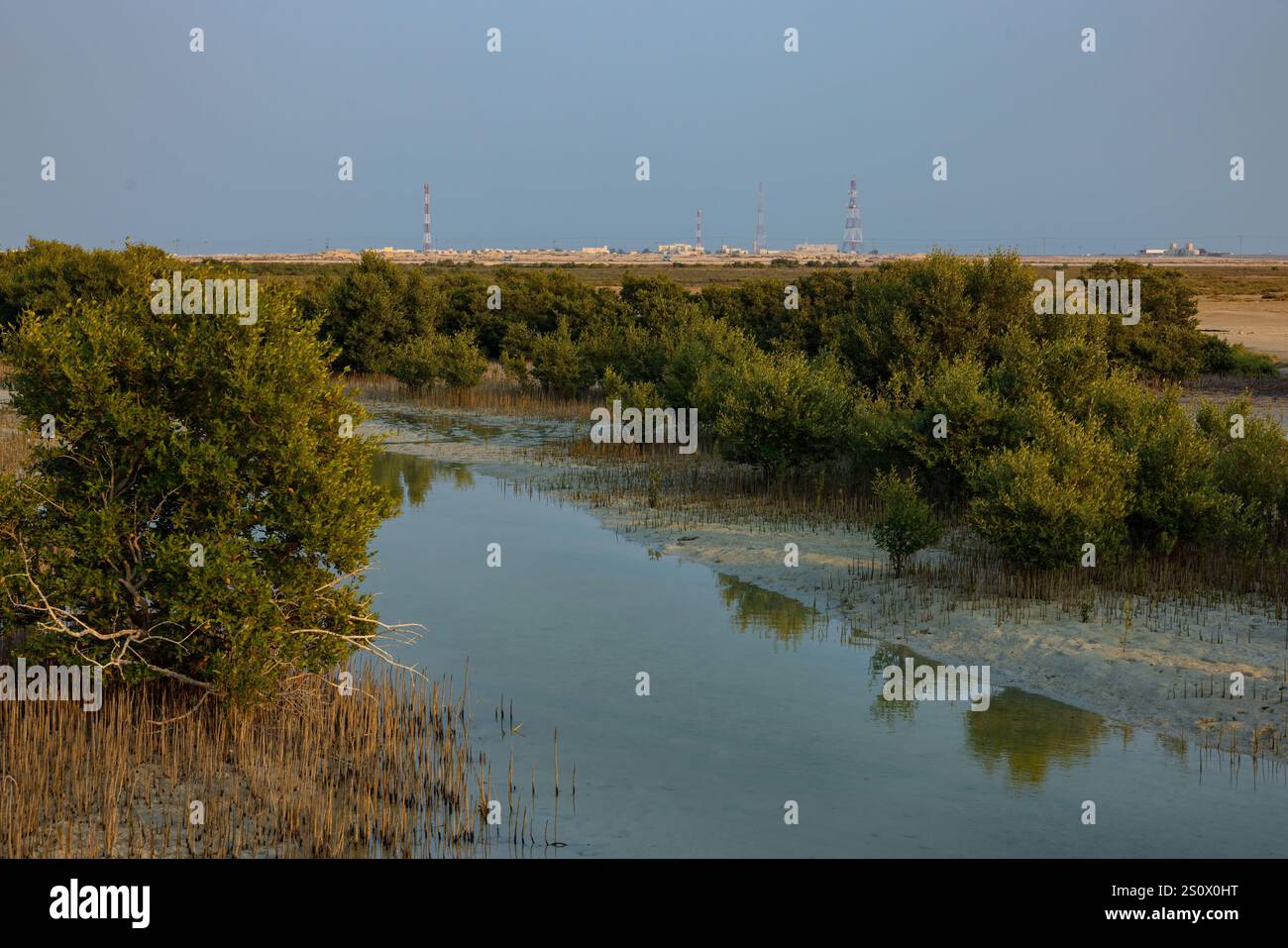 Purple island Al Khore Doha Qatar @5/12/2024 Stock Photo - Alamy