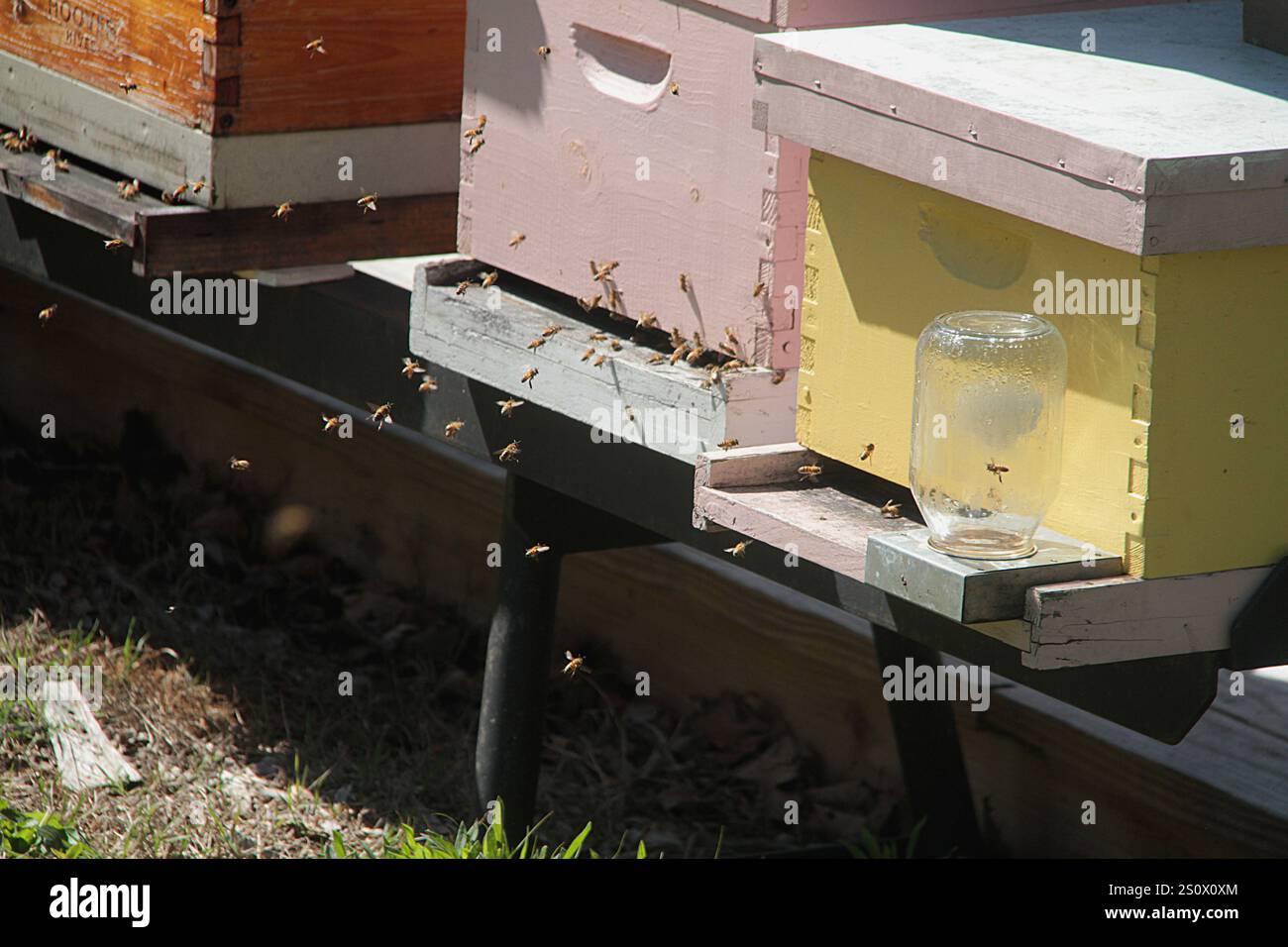 Simple wooden box made hi-res stock photography and images - Alamy