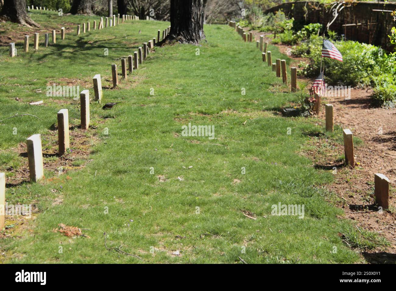 Lynchburg, VA, USA. The Confederate section in the Old City Cemetery ...
