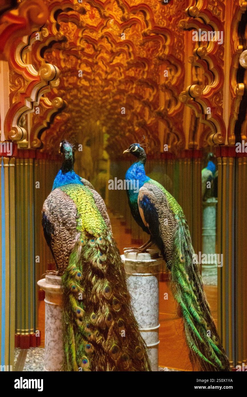 Interior of the Mirror Maze built in 1896 for the Swiss National ...