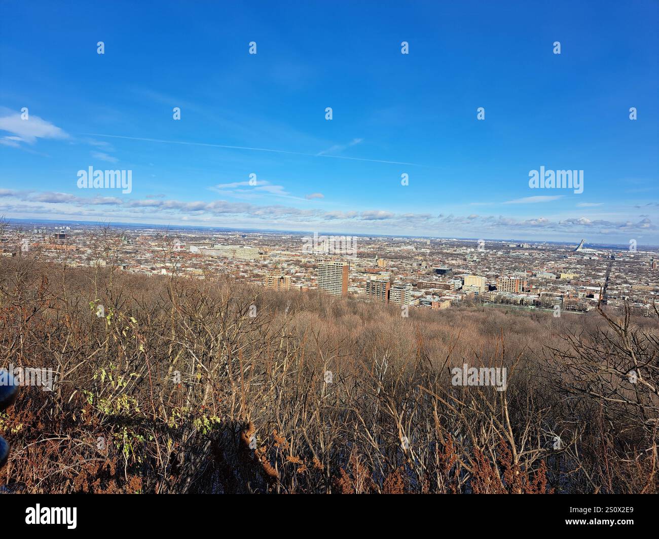View from Mont-Royal lookout in Montreal, Quebec, Canada Stock Photo ...