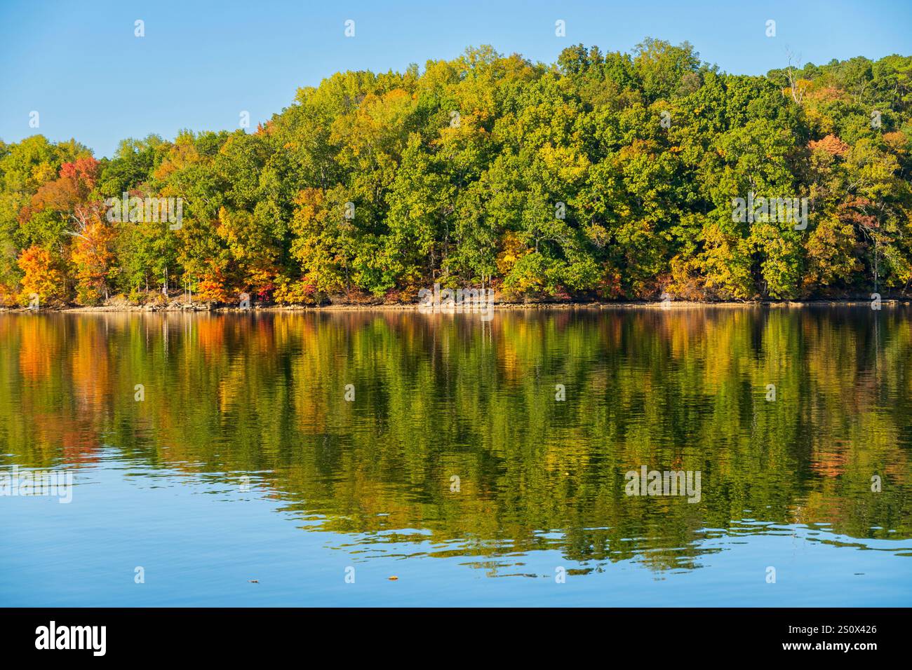 Autumn colors at Joe Wheeler State Park, Alabama. Brilliant reds, golds ...