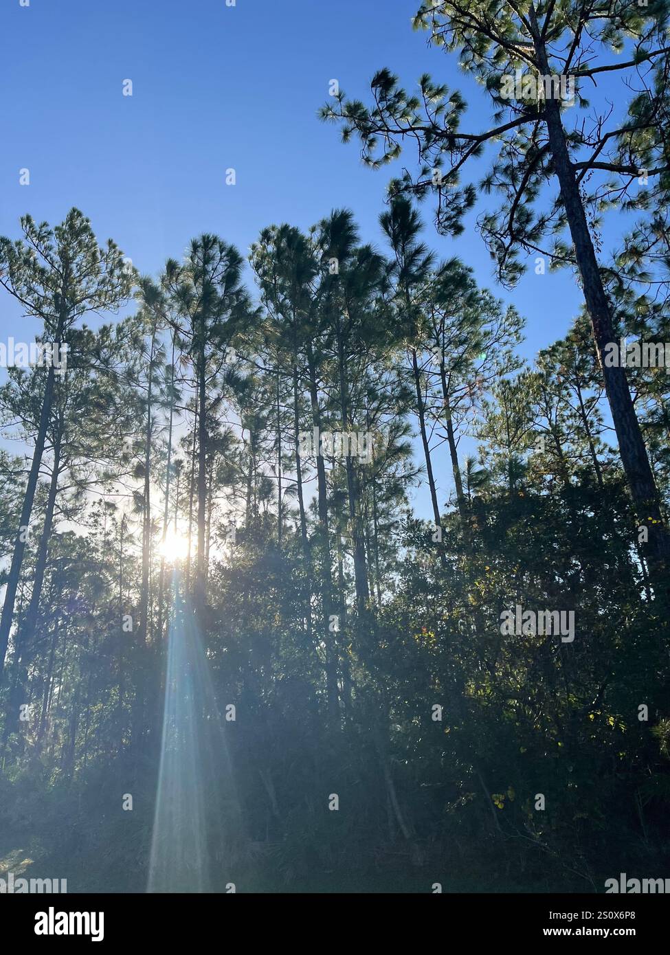 Sunshine scenic hi-res stock photography and images - Alamy