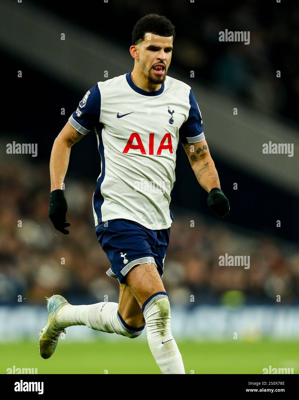 Dominic Solanke of Tottenham Hotspur in action during the Premier ...