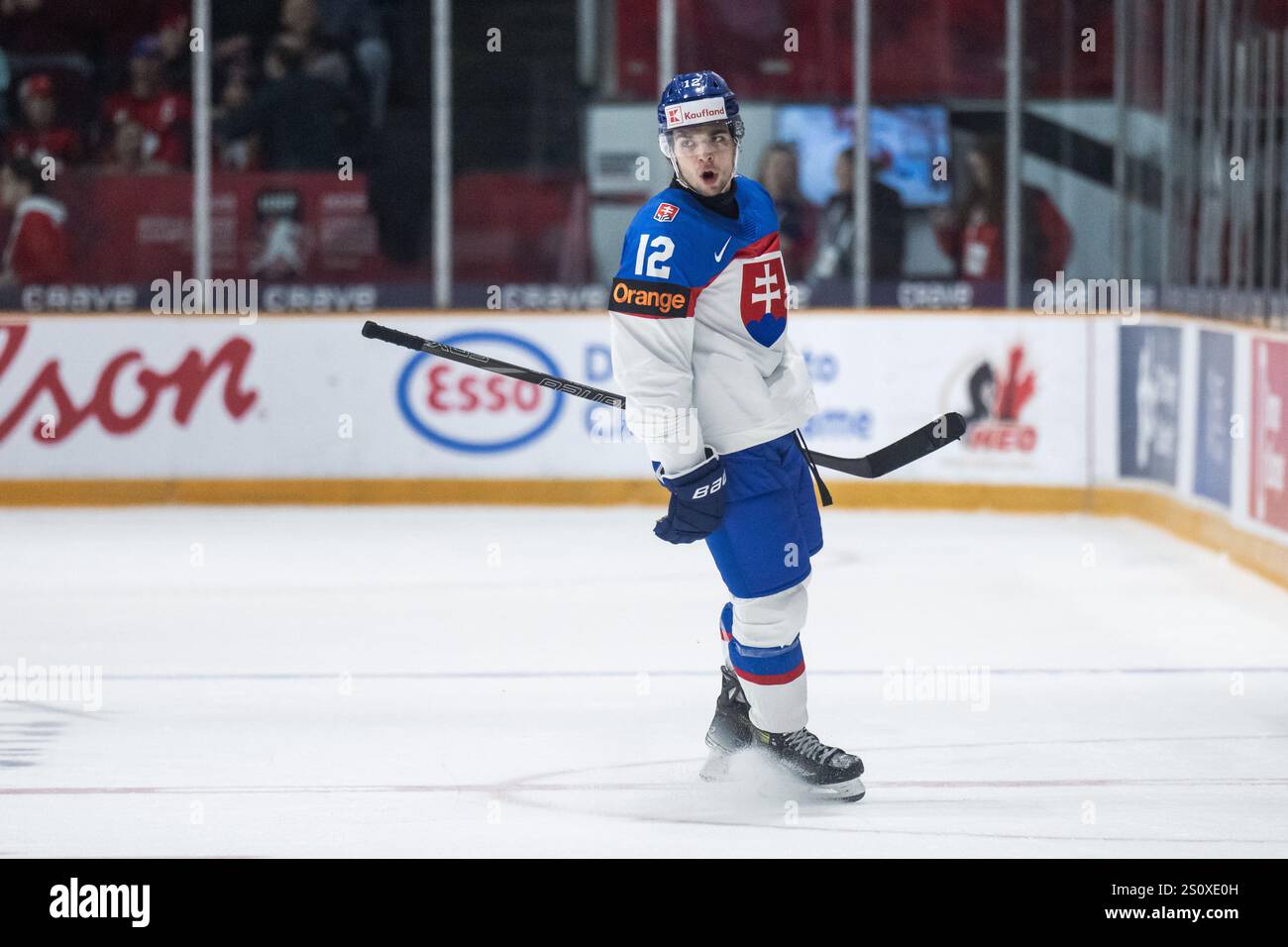Peter Cisar of, Slovakia. , . celebrates after scoring 2-1 during the ...
