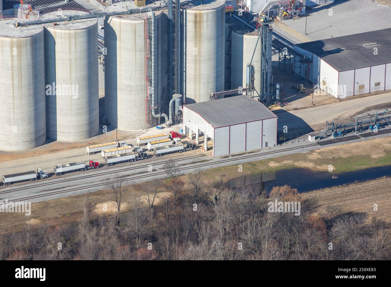 Grain trucks delivering corn to an ethanol production facility near ...