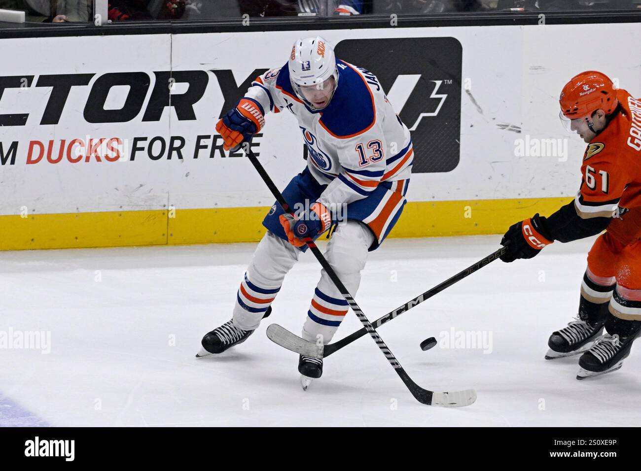 Anaheim Ducks left wing Cutter Gauthier (61) takes the puck away from ...