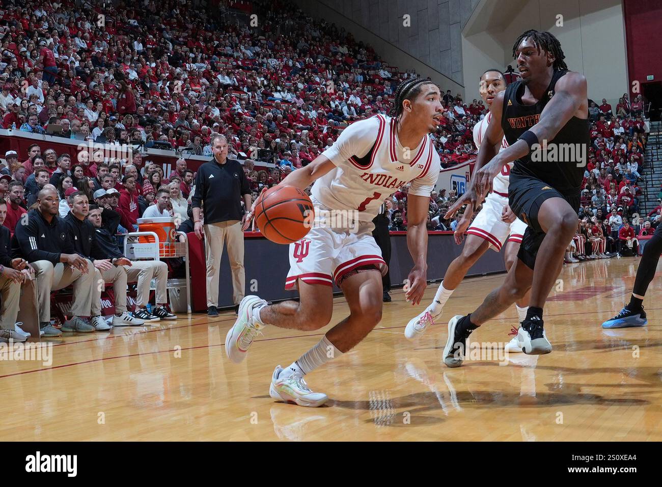 BLOOMINGTON, IN - DECEMBER 29: Indiana Hoosiers guard Myles Rice (1 ...