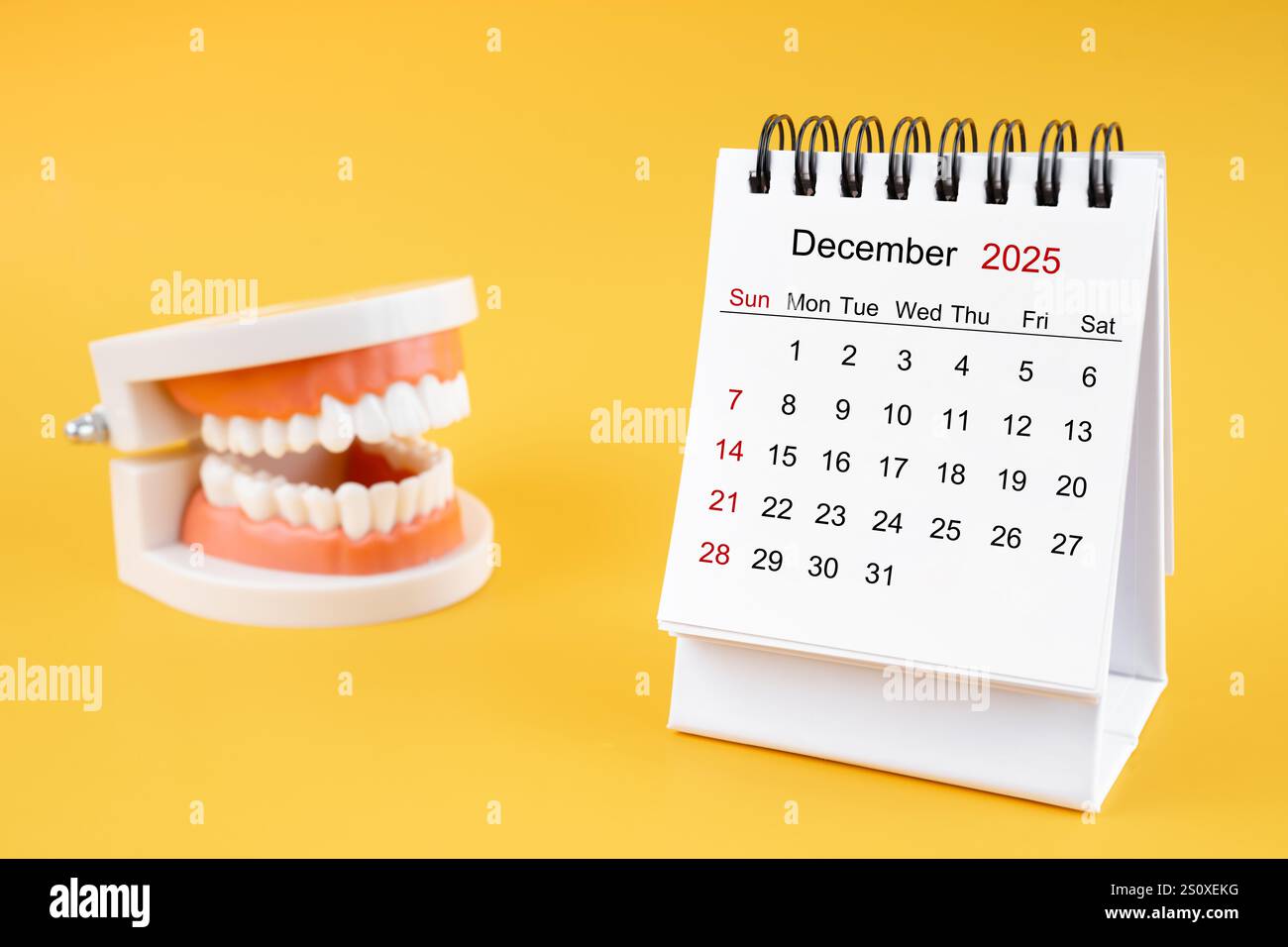 Desk calendar December 2025 and tooth model on yellow background ...