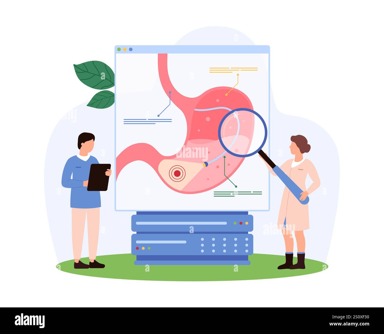 Medical professionals examining details of digestive system with a ...