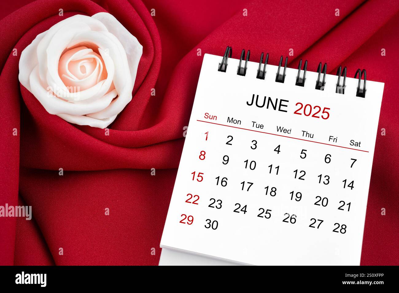 June 2025 desk calendar and pink rose on red textile background Stock ...
