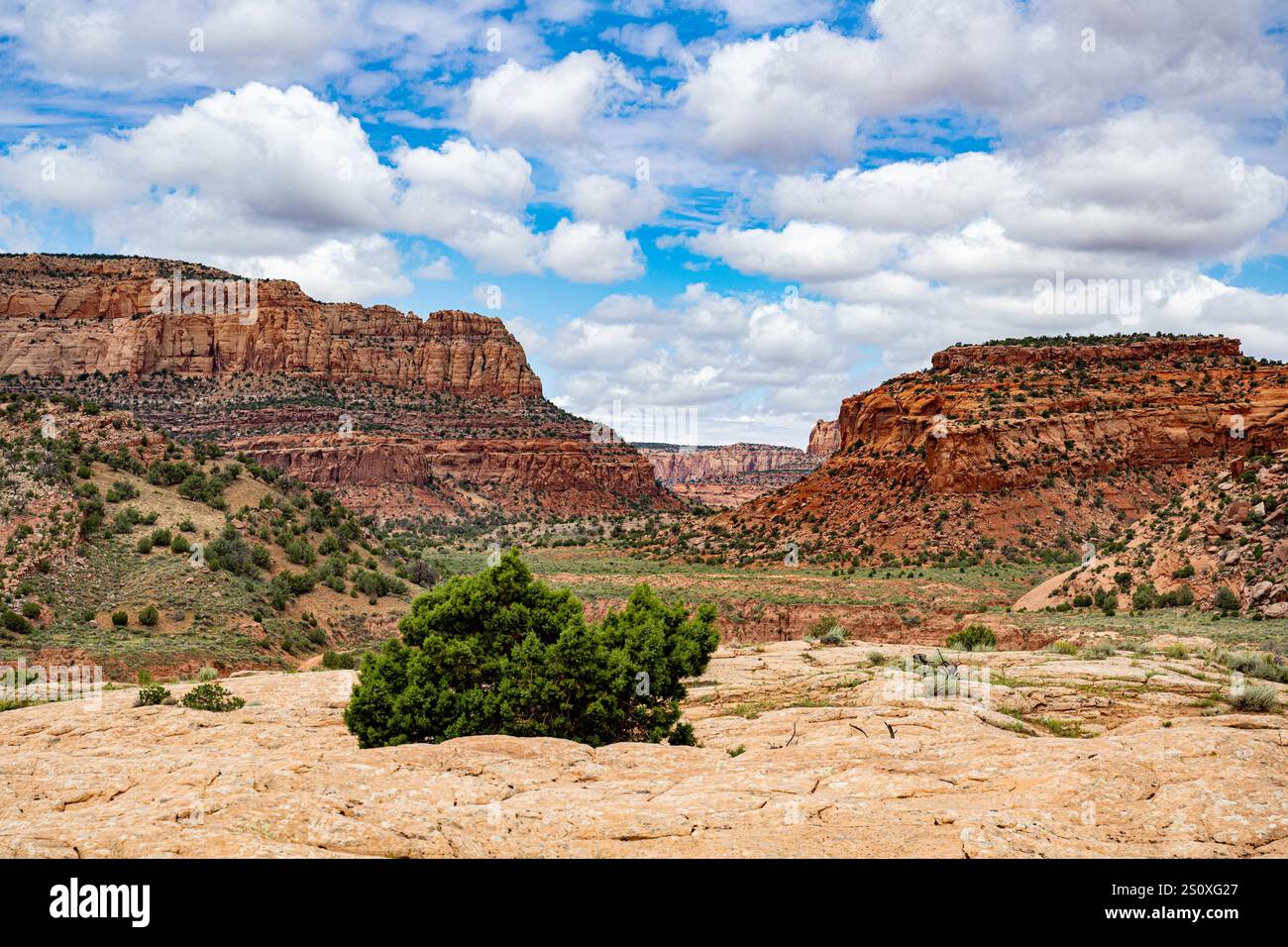 Utah, USA. 22nd Aug, 2024. Monument Valley, Valley of the rocks along ...