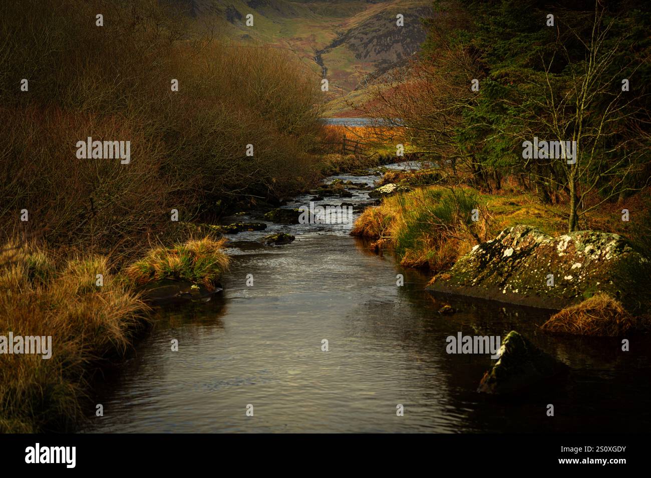 Clean water stream flowing through Snowdonia National Park in Wales ...
