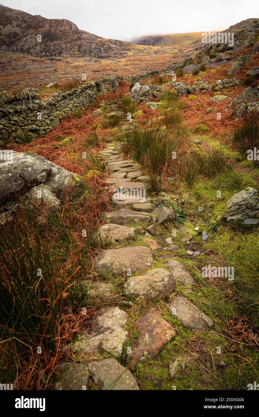 Scenic view of a rocky path meandering through colorful vegetation and ...