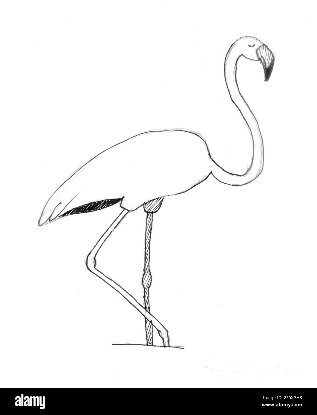 line drawing of a flamingo Stock Photo - Alamy
