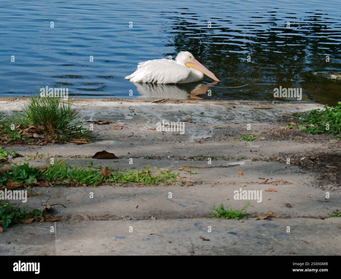 Leading lines down concrete ramp hi-res stock photography and images ...