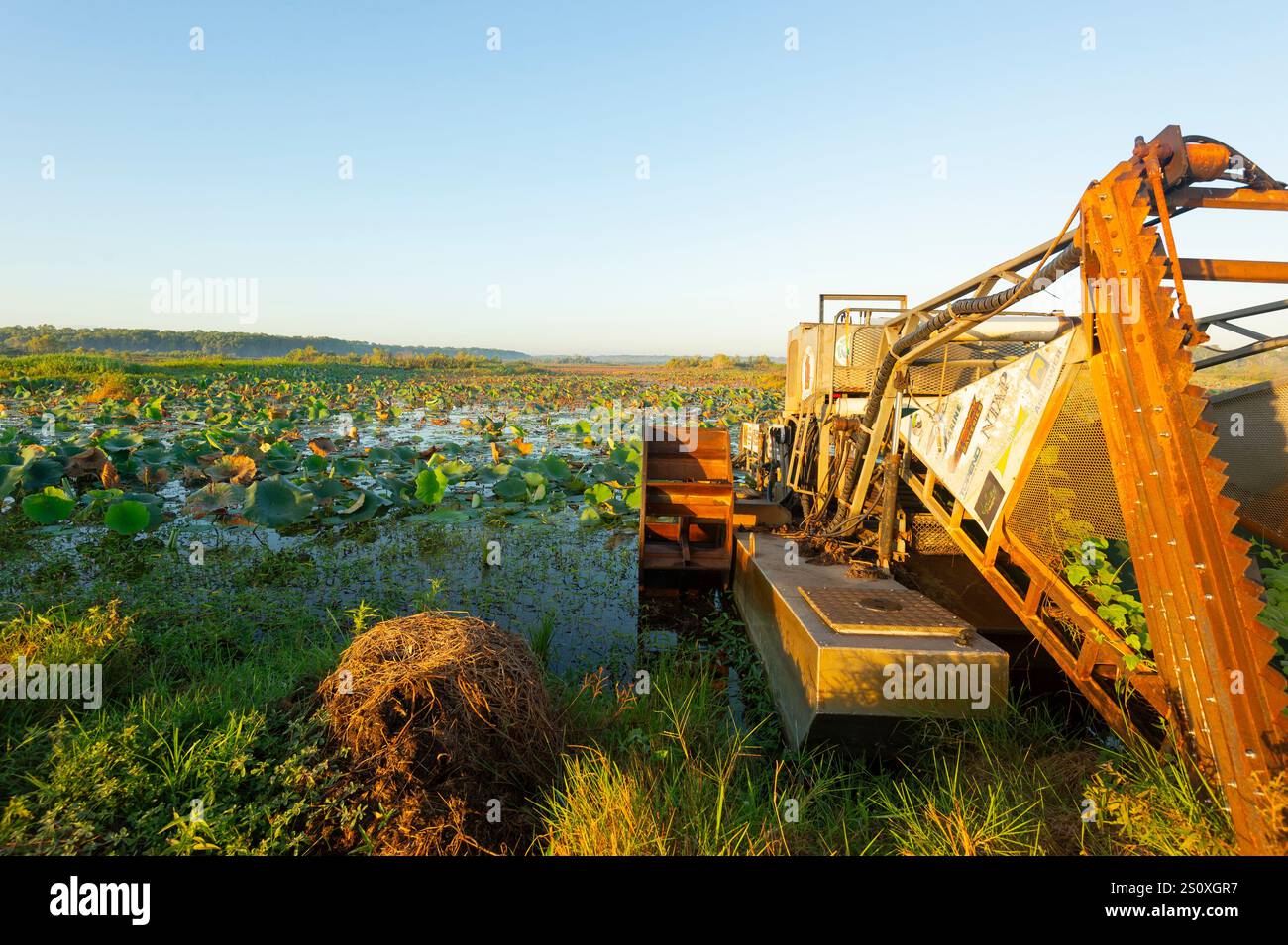 Aquatic Weed Harvester in the wetlands, Fogg Dam, Northern Territory ...