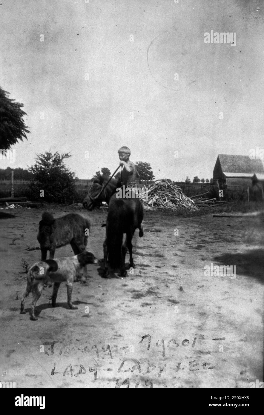 In 350 Black and White Stock Photos & Images - Alamy