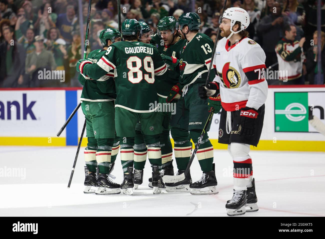 The Minnesota Wild celebrate a goal while Ottawa Senators left wing ...
