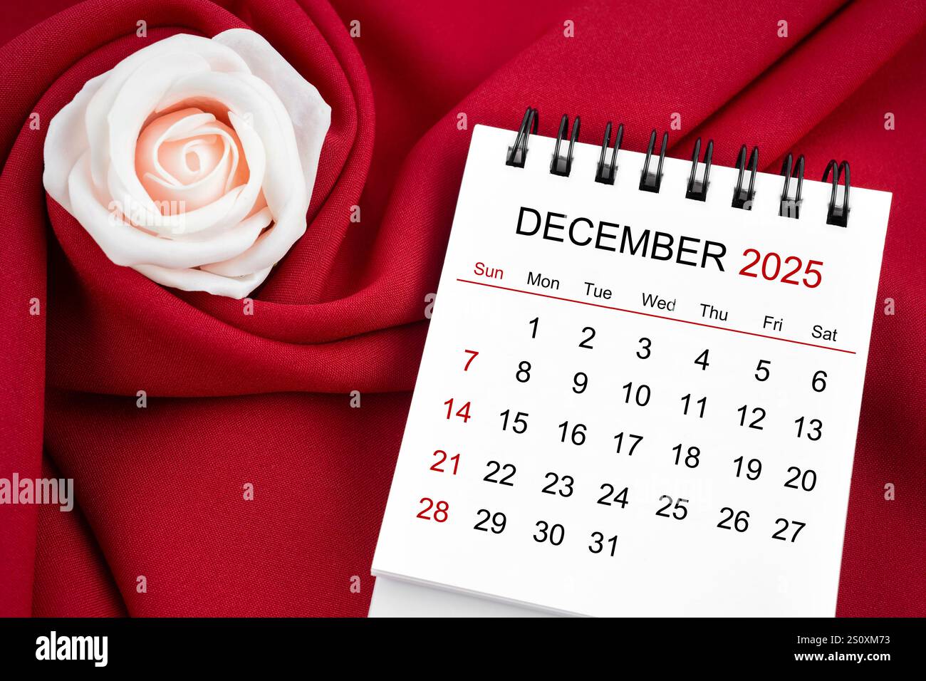 December 2025 desk calendar and pink rose on red textile background ...