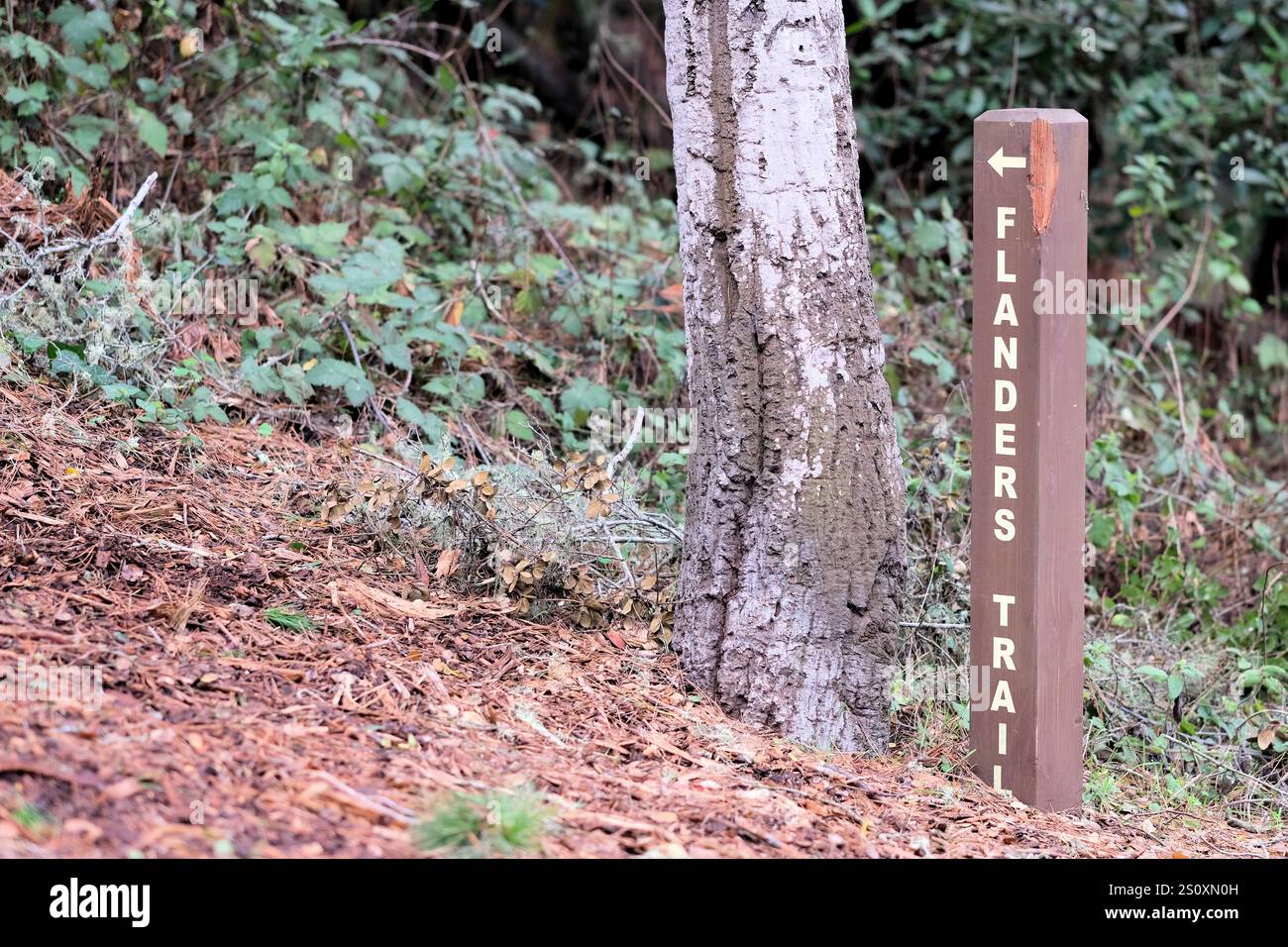 Sign at The Mission Trail Nature Preserve pointing towards the Flanders ...