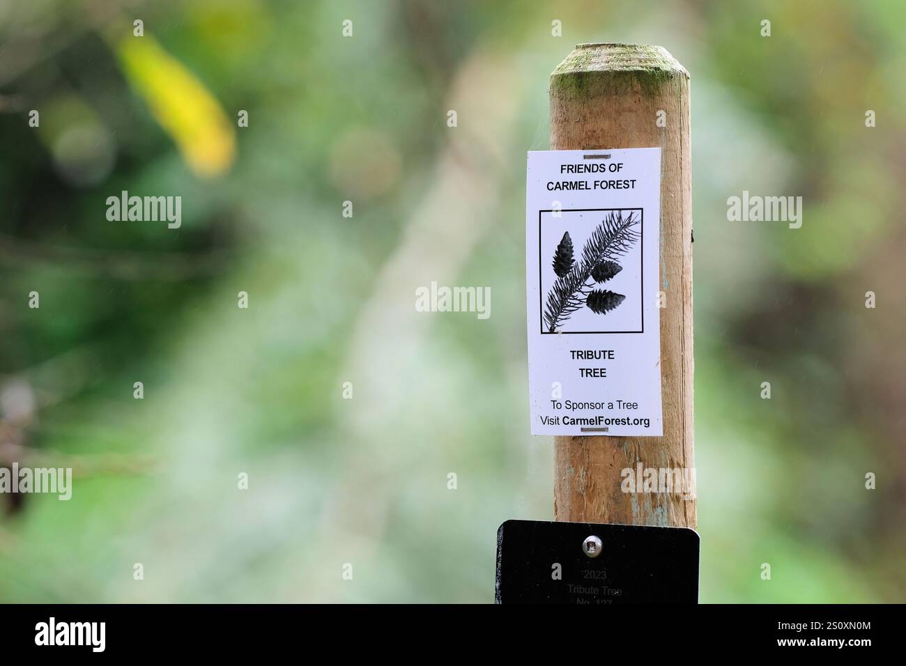 To commemodate hi-res stock photography and images - Alamy